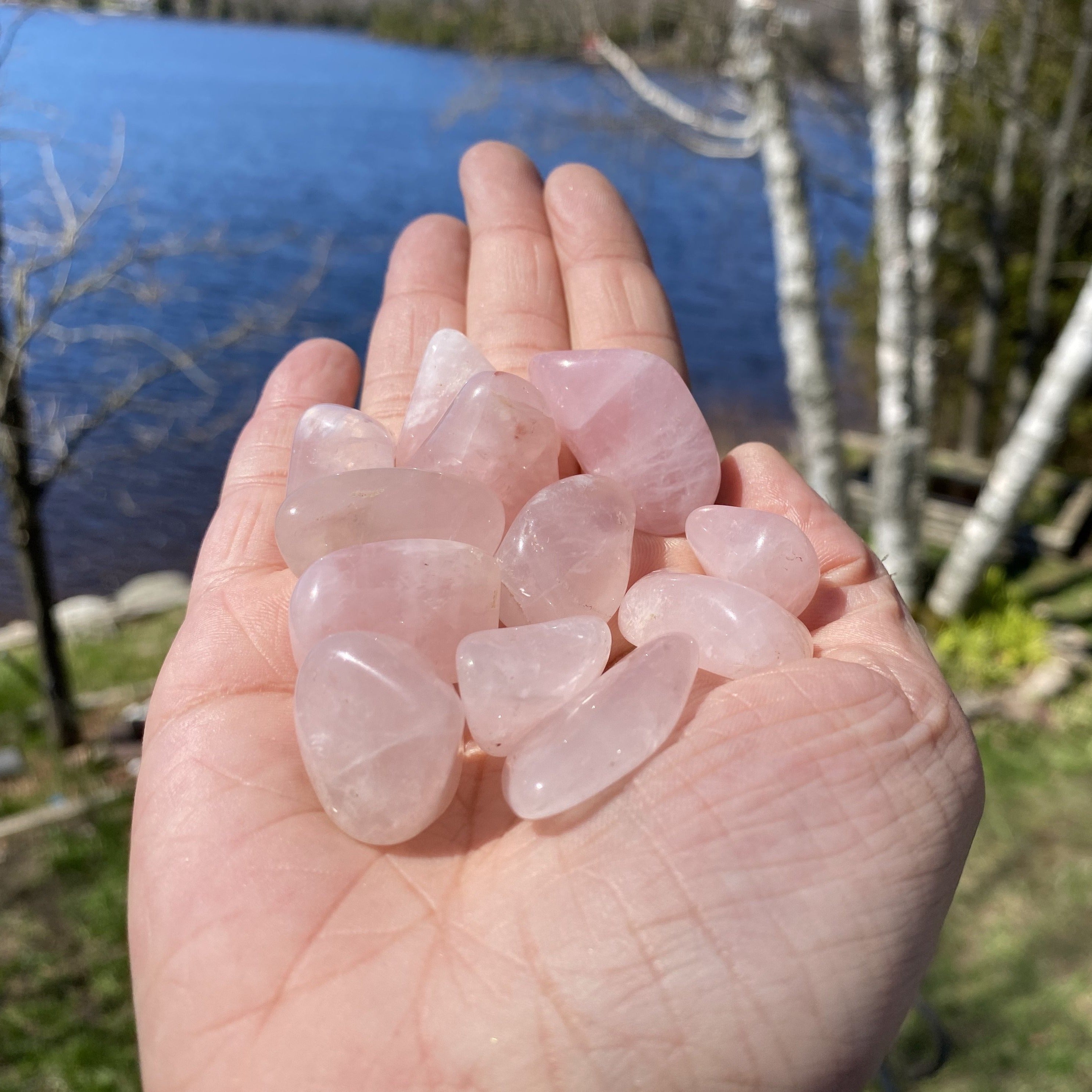 Rose quartz tumbled stones store